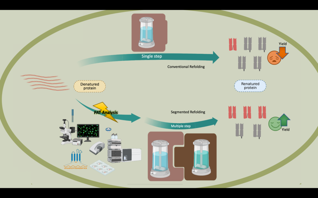 Customize Solution for Refolding of Biotherapeutic Protein - BioPatrika