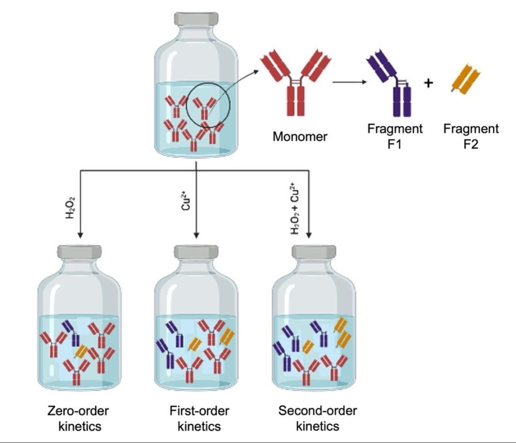 How do metal ions, hydrogen peroxide, and temperature increase ...