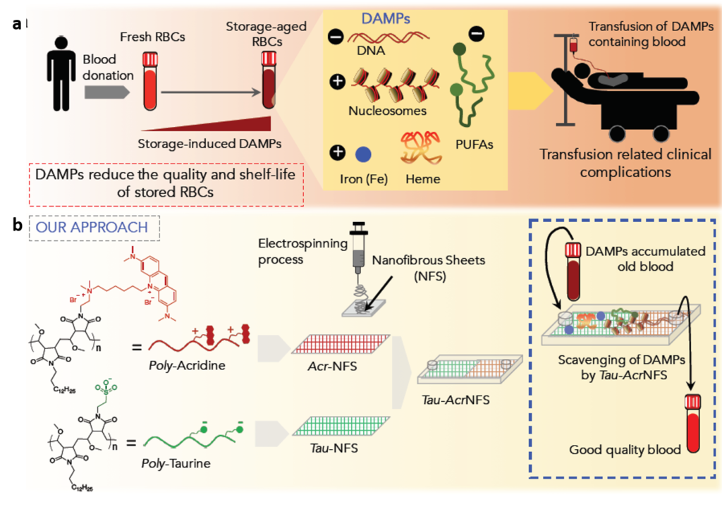 A novel approach to improve and increase the quality of stored blood ...