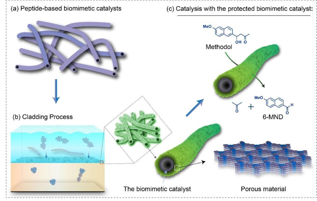 Protecting Peptide-based Biomimetic Catalysts Through Porous Material ...