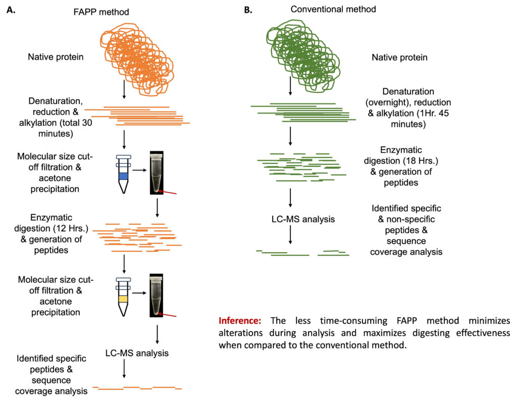 Enhance Proteomics: FAPP for Enhanced Bottom-Up Proteomics - BioPatrika