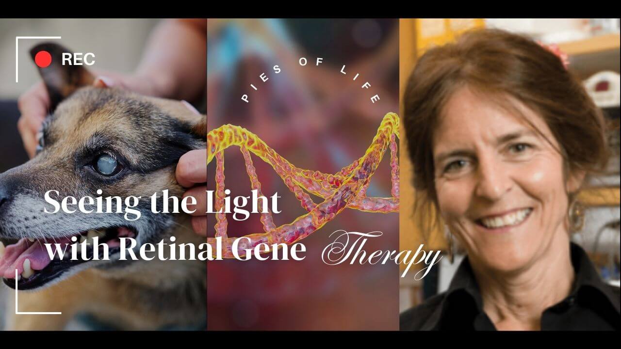 Seeing the Light with Retinal Gene Therapy - BioPatrika