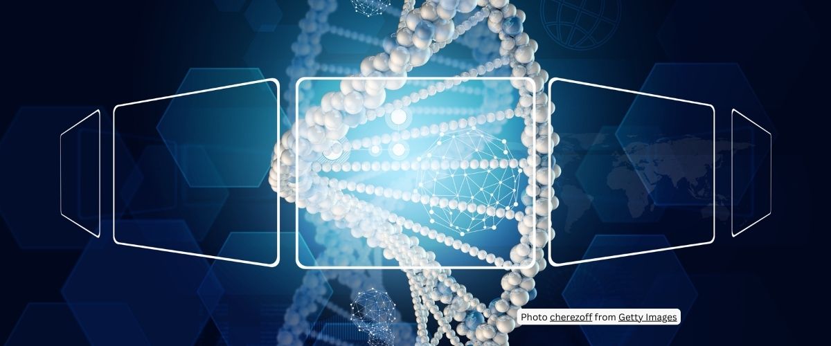 3-Dimensional DNA Models from Experimental Contact Maps - BioPatrika