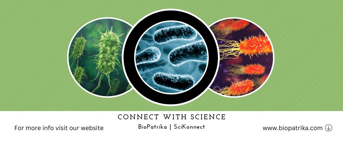 Translation Initiation Inhibitors: Structural Insights and Mechanisms ...