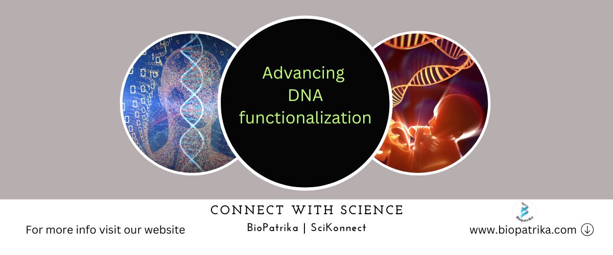 Advancing DNA functionalization: TdT-mediated incorporation of ...
