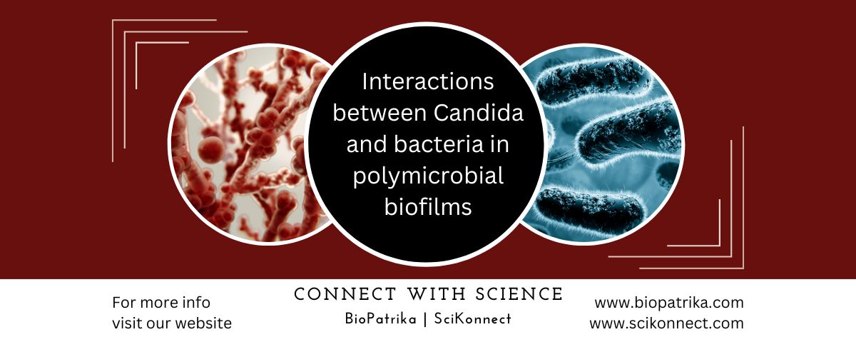 Interactions between Candida and bacteria in polymicrobial biofilms ...