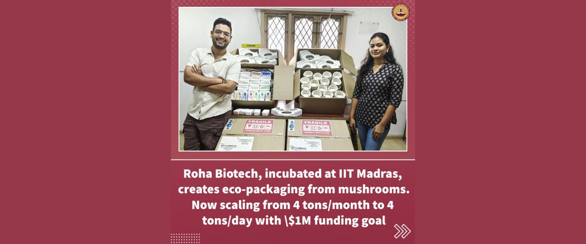 Roha Biotech: Revolutionizing Sustainable Packaging with Mushrooms ...