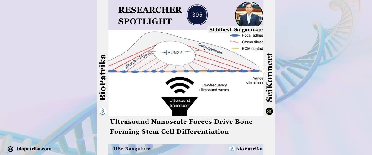 Ultrasound Nanoscale Forces Drive Bone-Forming Stem Cell ...